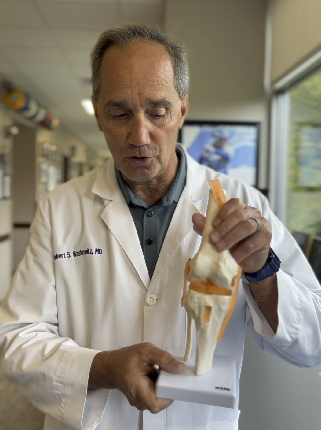ACL Injuries in Athletes | Orthopedic Associates of Hartford